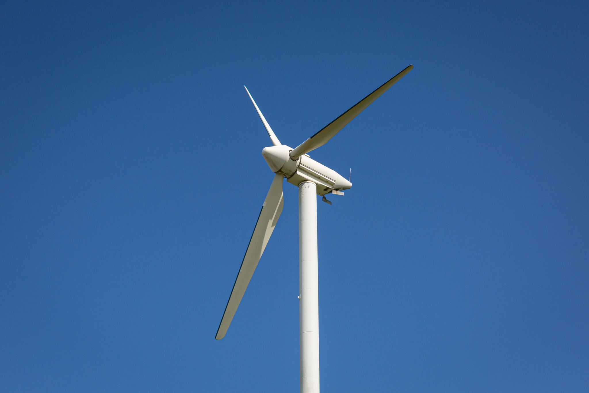 Types of Work Permits in the Netherlands | Employer of Record