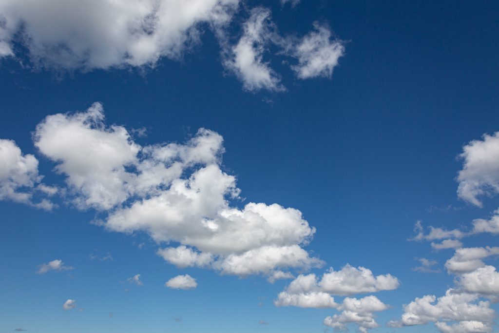 Residence Permit for Orientation Year in the Netherlands