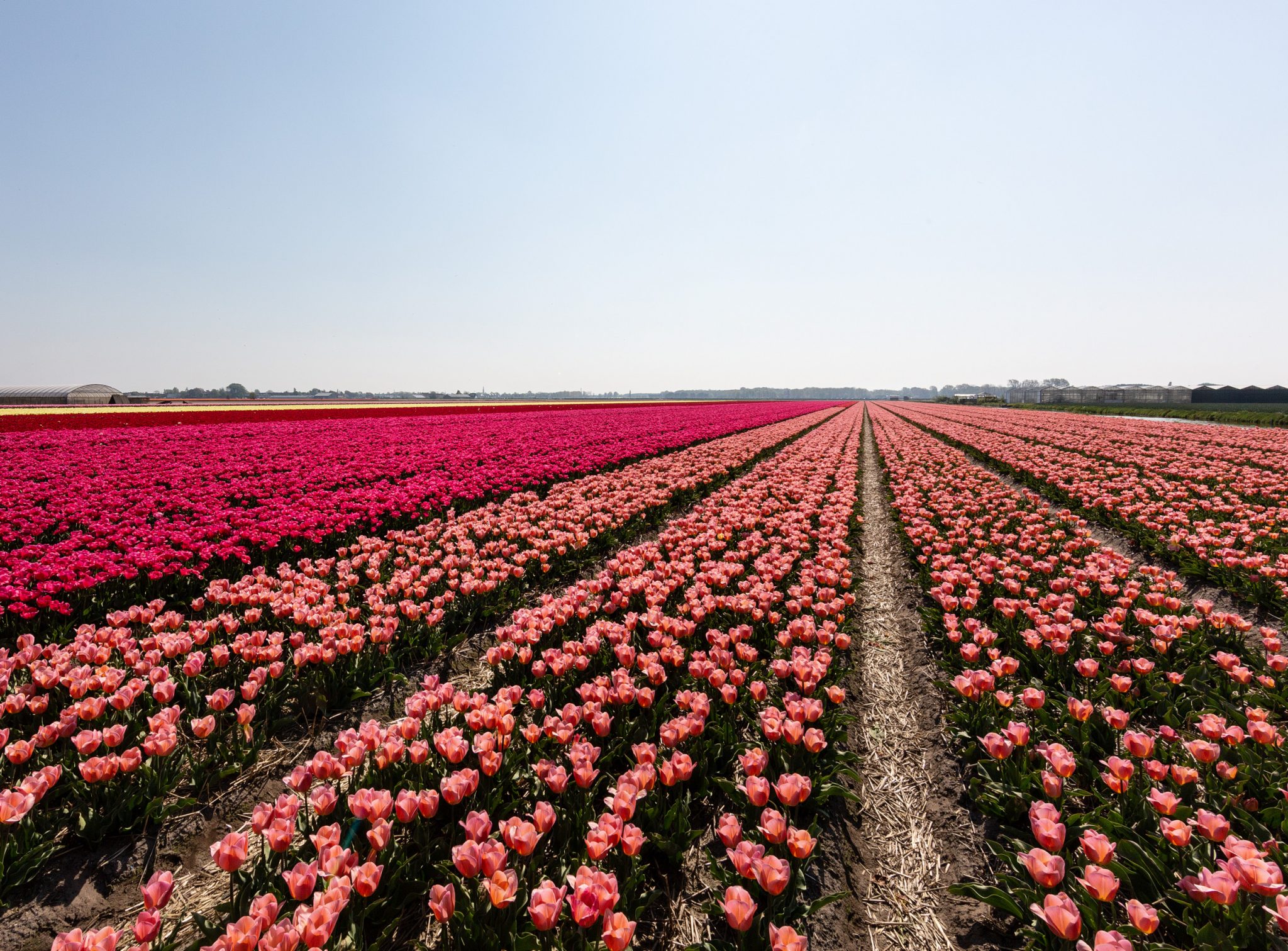 Payroll Taxes in the Netherlands - A complete guide